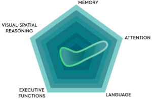 Two-Timing - HappyNeuron Pro