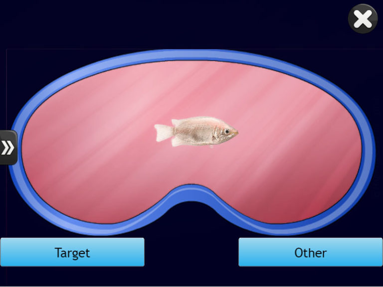 Digital Cognitive Exercises - HappyNeuron Pro Digital Cognitive Exercises - HappyNeuron Pro