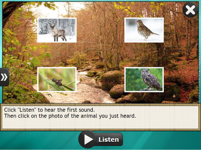 Auditory Processing Exercises for Adults | Science-based