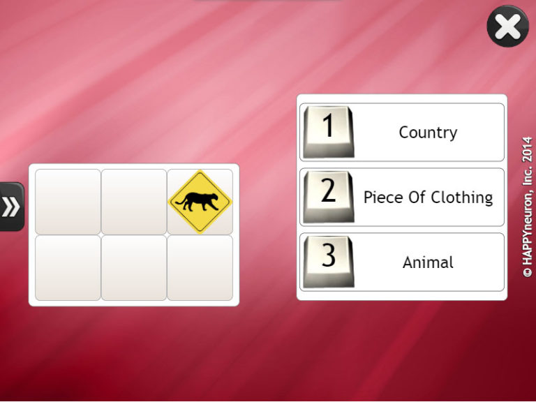 What is Cognitive Rehabilitation - HappyNeuron Pro