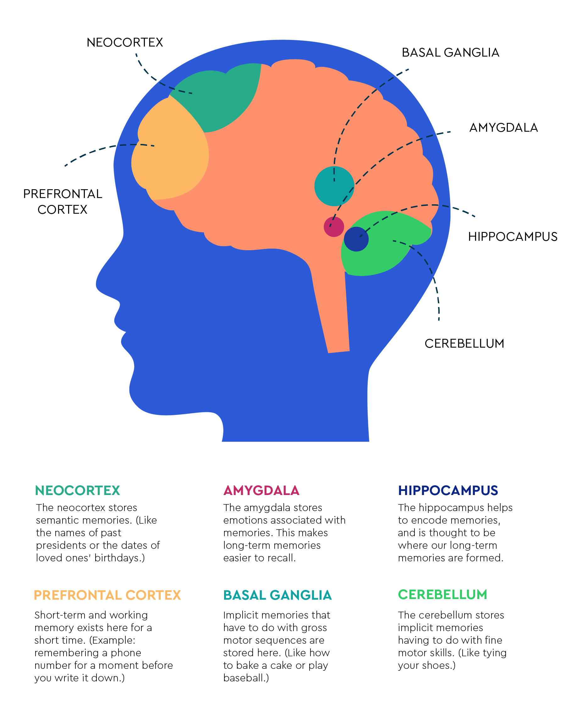 What is Memory? - HappyNeuron Pro