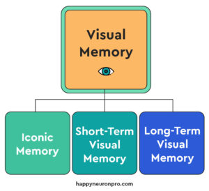 What is Visual Memory? - HappyNeuron Pro