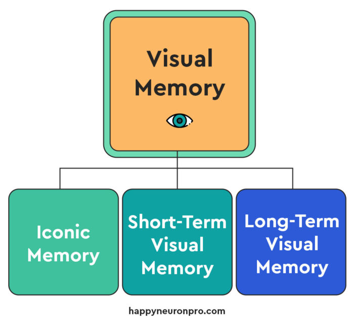 What is Visual Memory? - HappyNeuron Pro