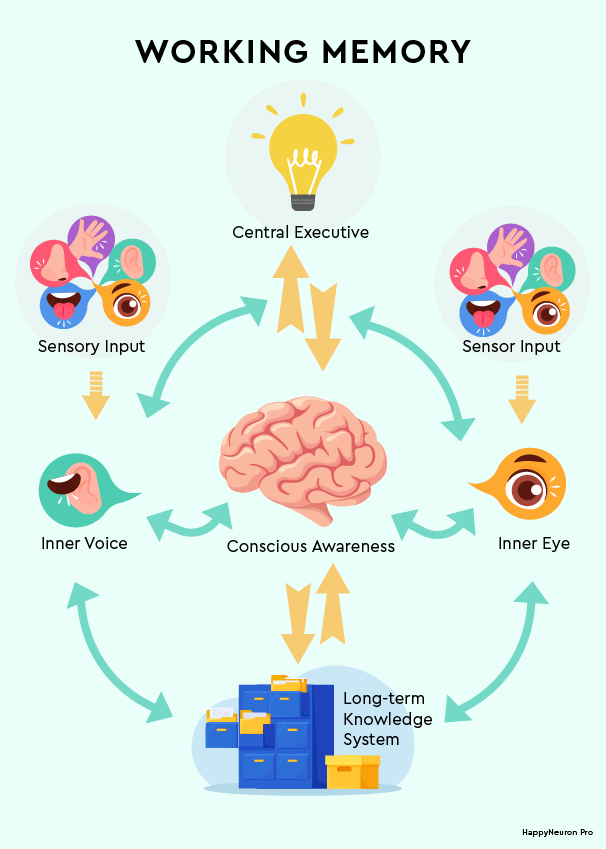 Working Memory